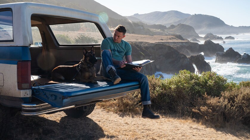 Katso Dog .Videovuokraamo netissä - Viaplay