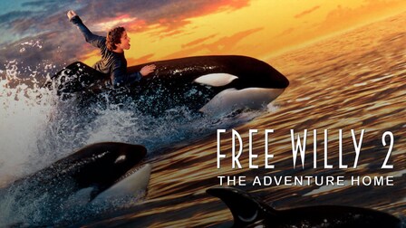 Katso Free Willy 2: The Adventure Home .Videovuokraamo netissä - Viaplay