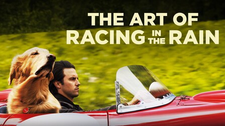 The Art of Racing in the Rain - Kvikmyndir á netinu á Viaplay