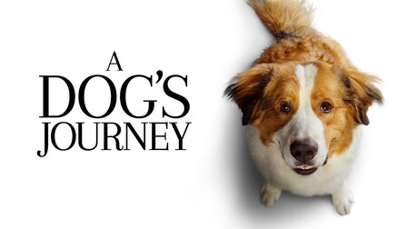 A Dog's Journey - Film online på Viaplay