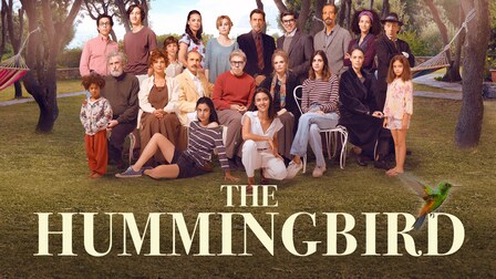 The Hummingbird - Film online på Viaplay