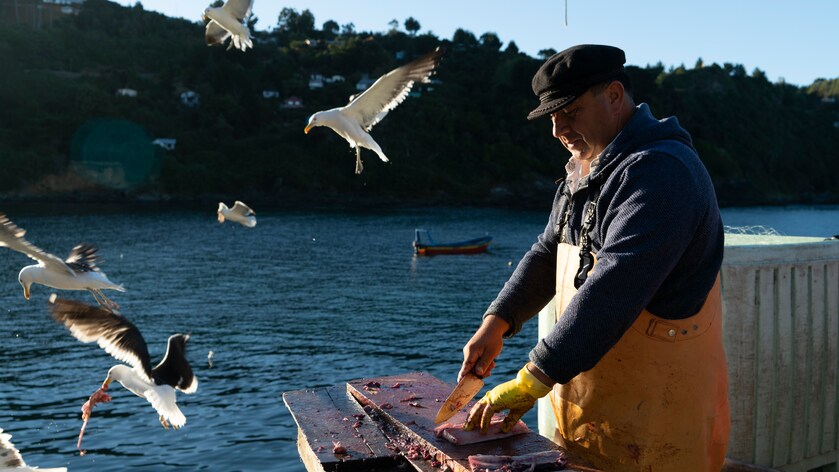 Patagonia: Life on the Edge of the World - Säsong 1 - Avsnitt 3 - TV ...