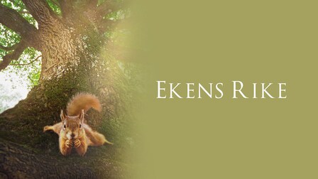 Ekens rike - Film online på Viaplay