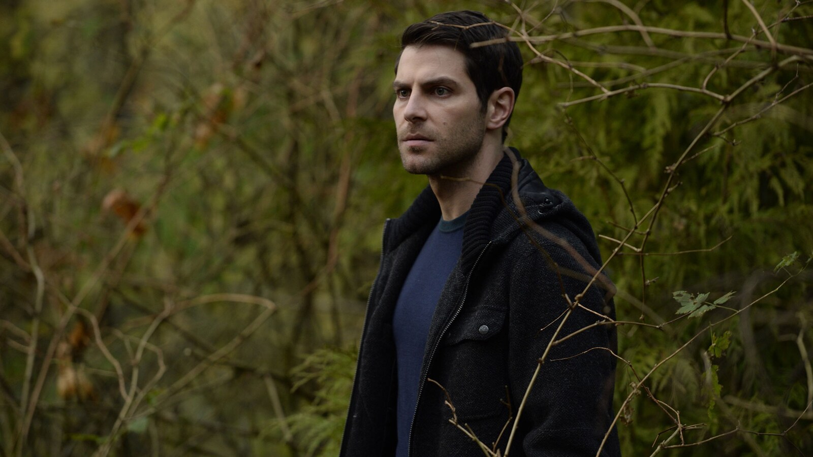 Grimm - TV-serier online - Viaplay.se