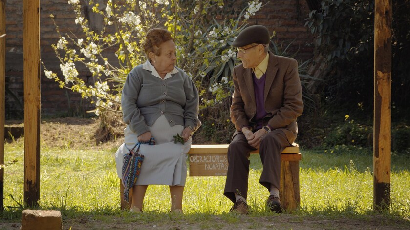 Se The Mole Agent online - Viaplay