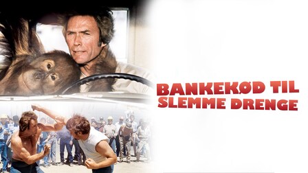 Se Bankekød til slemme drenge online - Viaplay