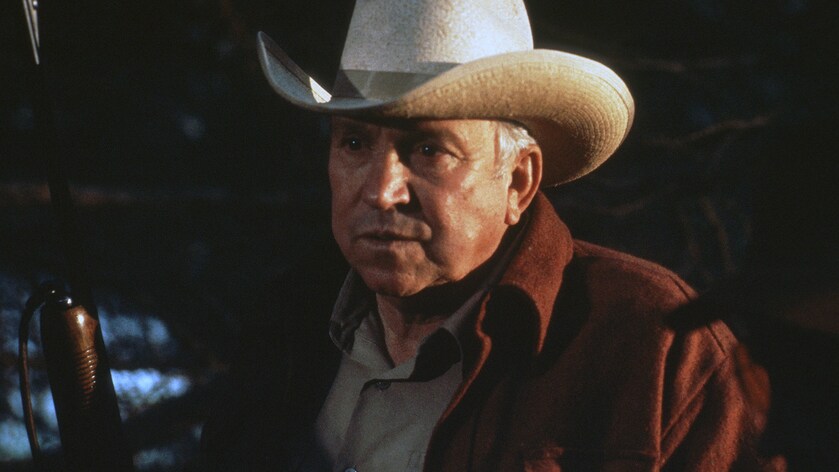 The Howling - Film online på Viaplay