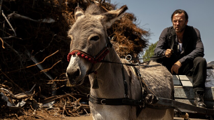 EO - Film online på Viaplay