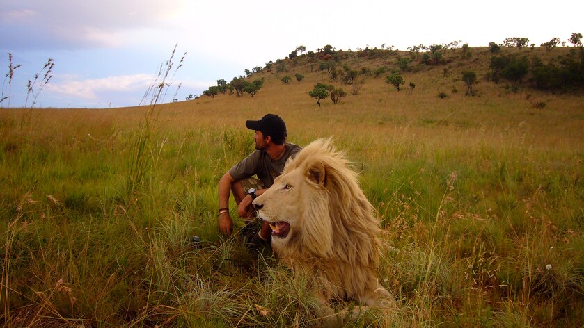 Se African Safari online - Viaplay