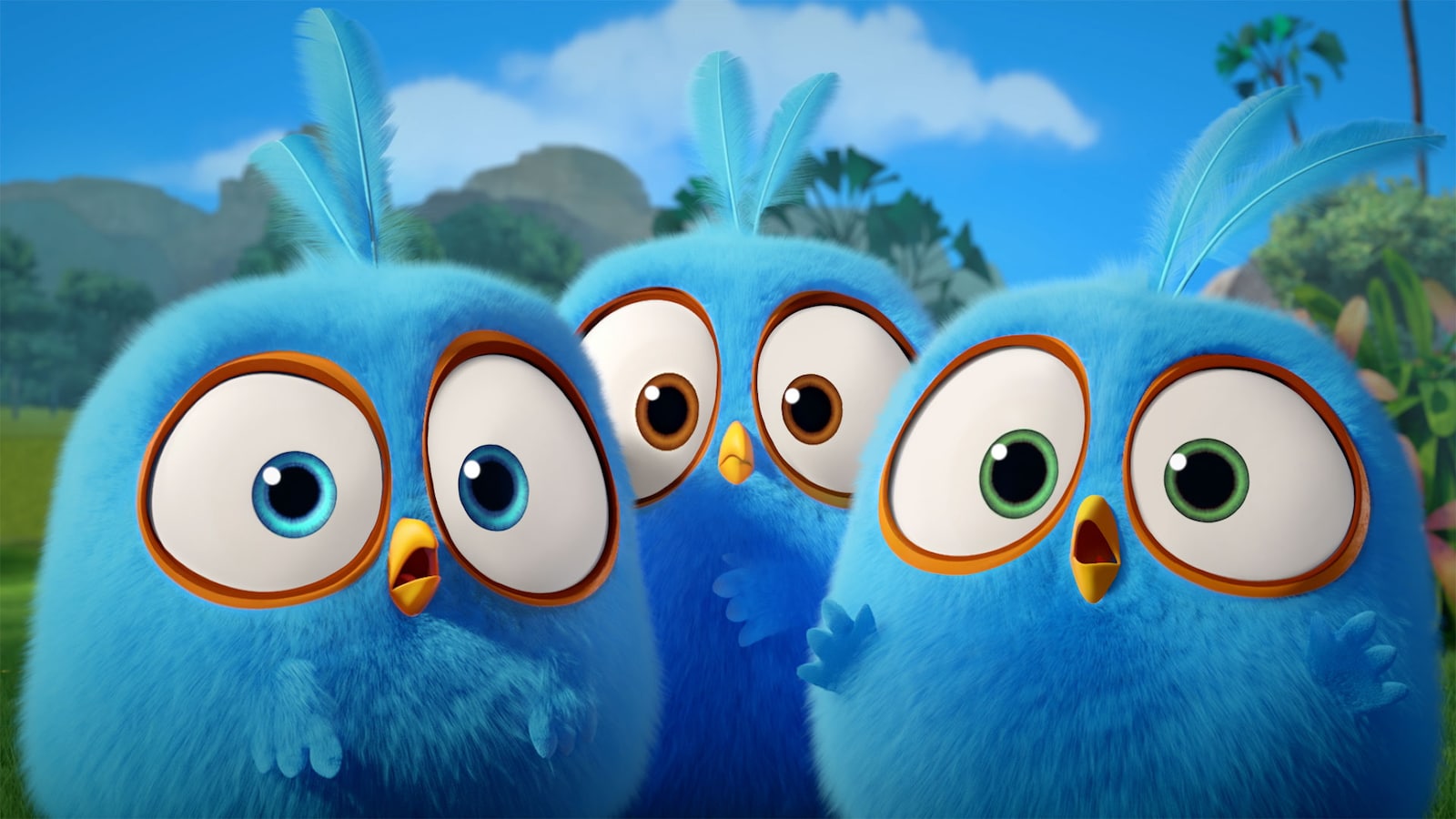 Angry Birds Blues - Serier for børn - Viaplay Angry Birds Blues - Serier for børn - Viaplay