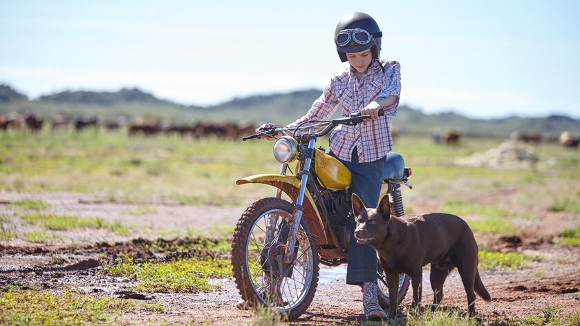 Red Dog: True Blue - Film online på Viaplay