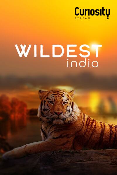 Wildest India - Sezon 1 - Odcinek 2 - Seriale telewizyjne online - Viaplay Wildest India - Sezon 1 - Odcinek 2 - Seriale telewizyjne online - Viaplay